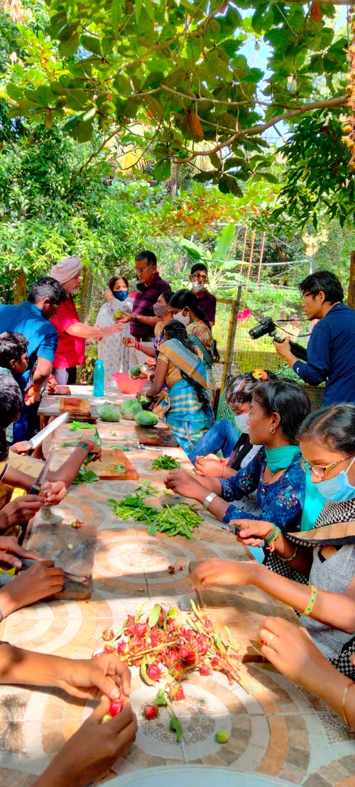 Learning to Cook with Native Plants at Solitude Farm